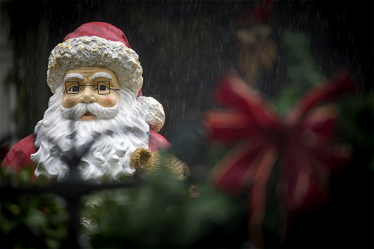 Holiday tour | Tulane News