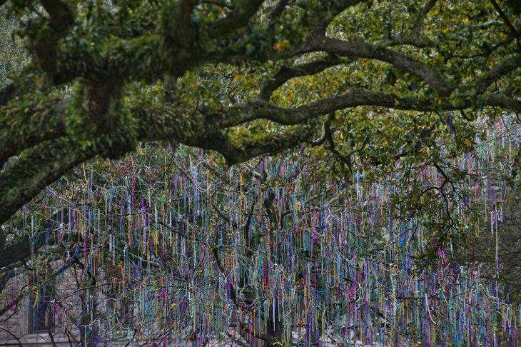 It's Carnival time | Tulane University News