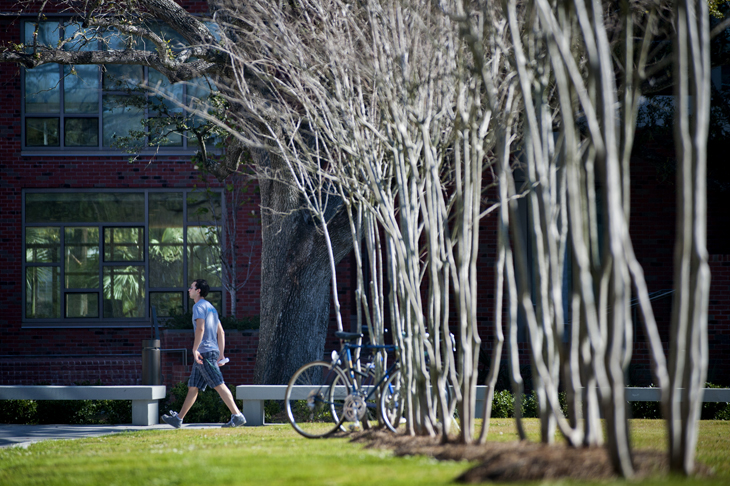 Sunbathing | Tulane University News