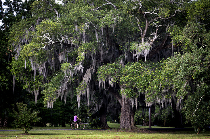 Hang loose | Tulane News