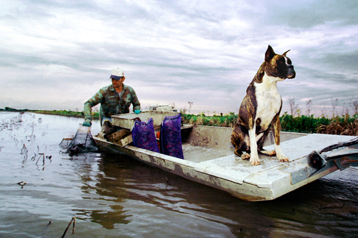 High colorectal cancer rates in Acadiana | Tulane University News