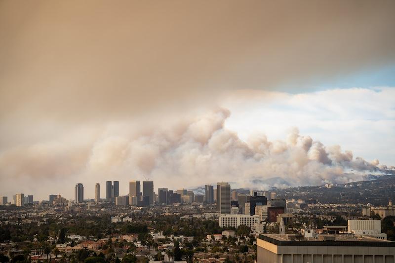 Exposure to wildfire smoke late in pregnancy may raise autism risk in ...